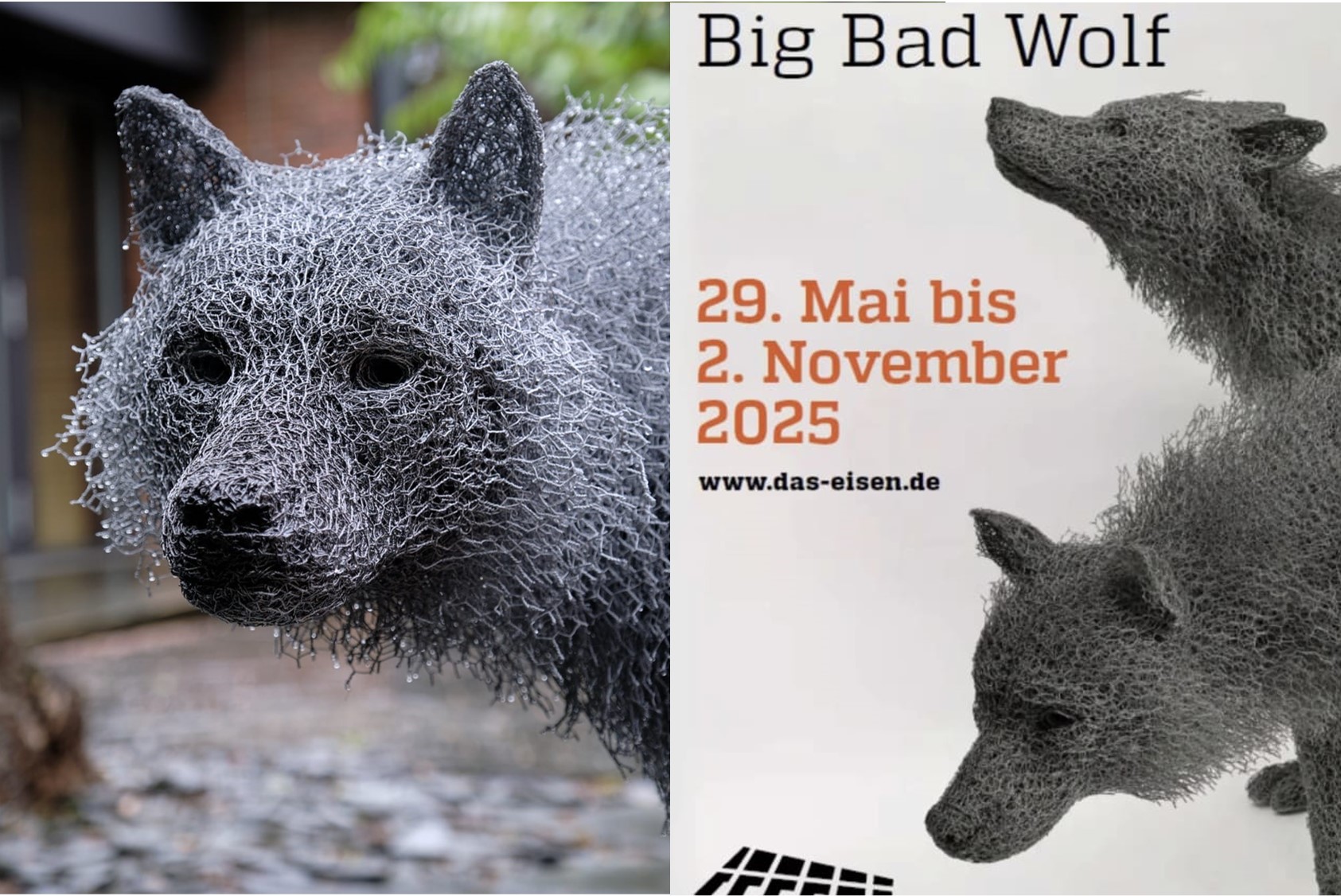 Kendra Haste ── 荒野之心：喚起野性呼吸的動物詩人 – 城市美學新態度kaiak.tw